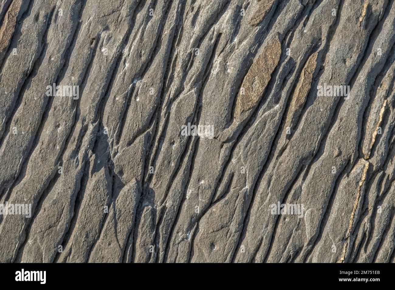 Close up metamorphic rock hi-res stock photography and images - Alamy