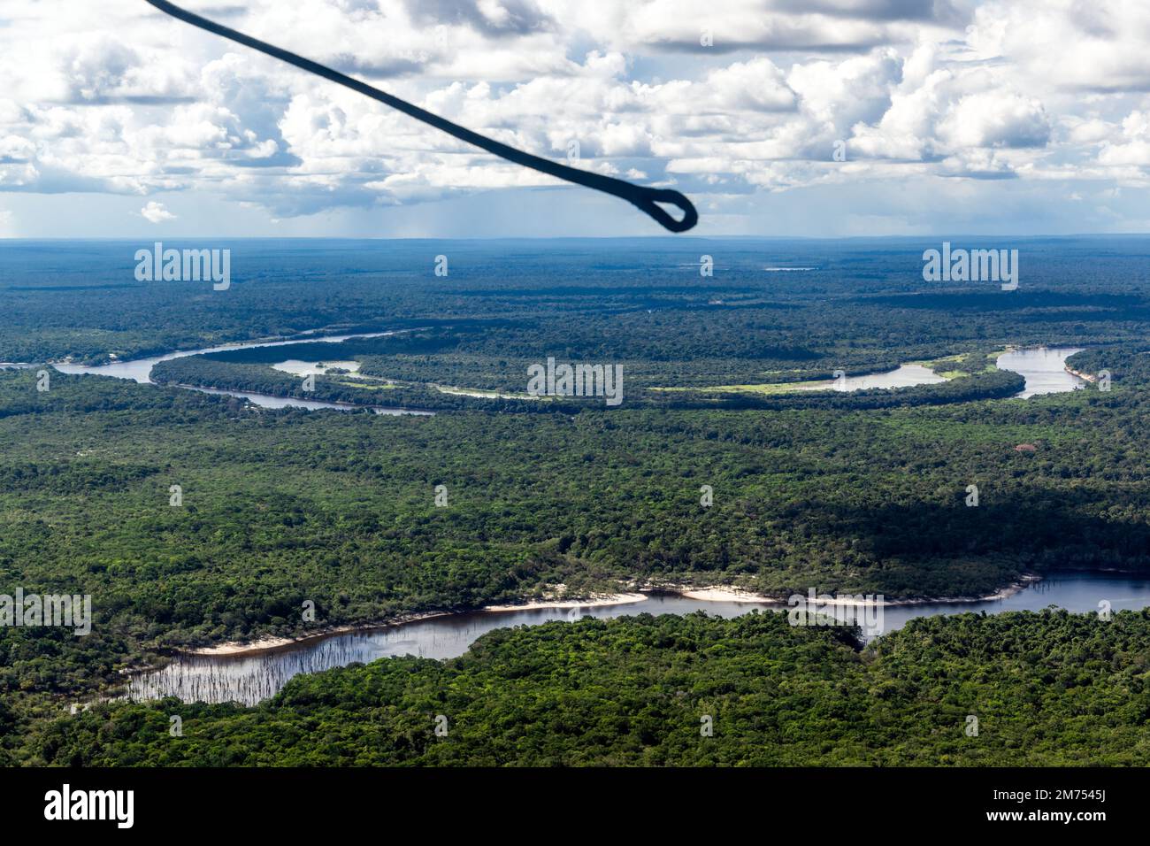 02 January 2023, Brazil, Manaus: A river meanders through the Amazon ...