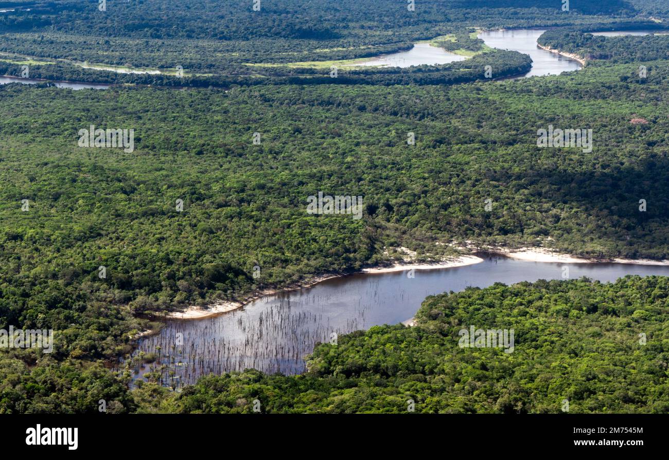 02 January 2023, Brazil, Manaus: A river meanders through the Amazon ...