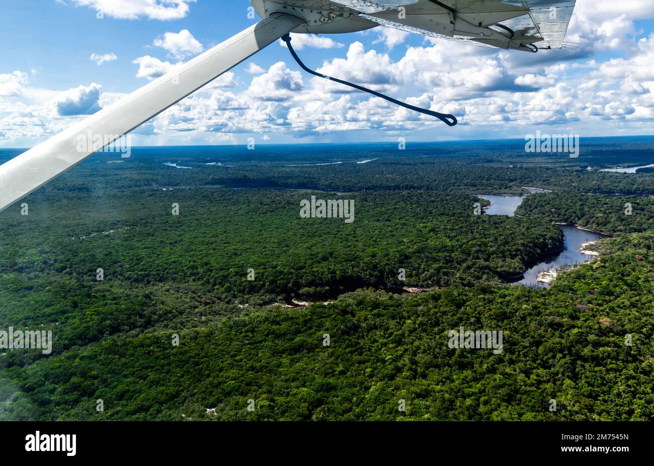 02 January 2023, Brazil, Manaus: A river meanders through the Amazon ...