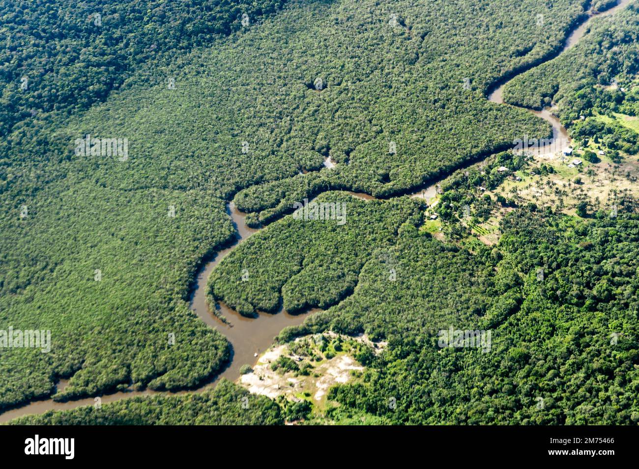 02 January 2023, Brazil, Manaus: A small river meanders through the ...