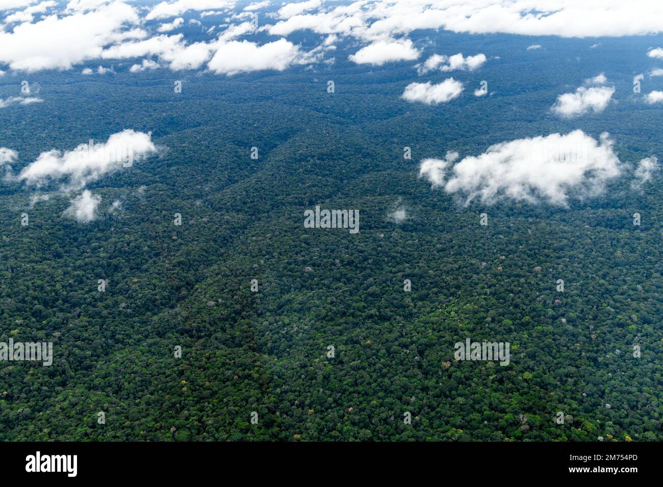 02 January 2023, Brazil, Manaus: Clouds pass over the Amazon rainforest ...