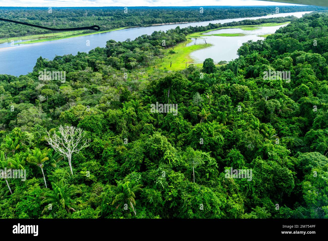 02 January 2023, Brazil, Manaus: A river flows through the Amazon ...