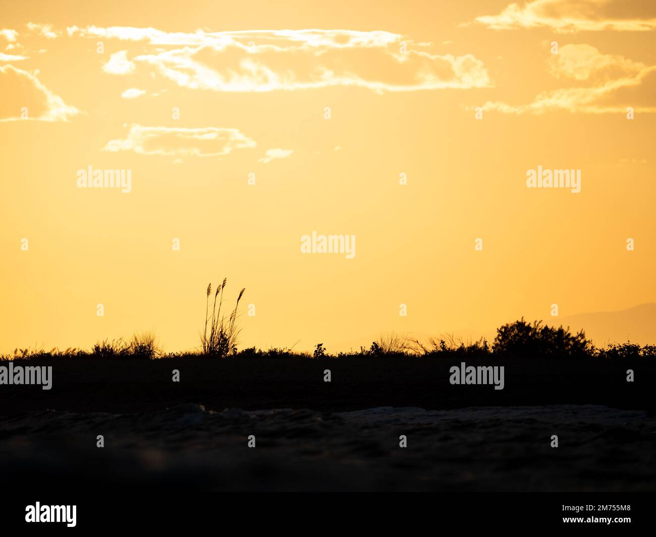 An aerial view of greenery field during sunset Stock Photo - Alamy