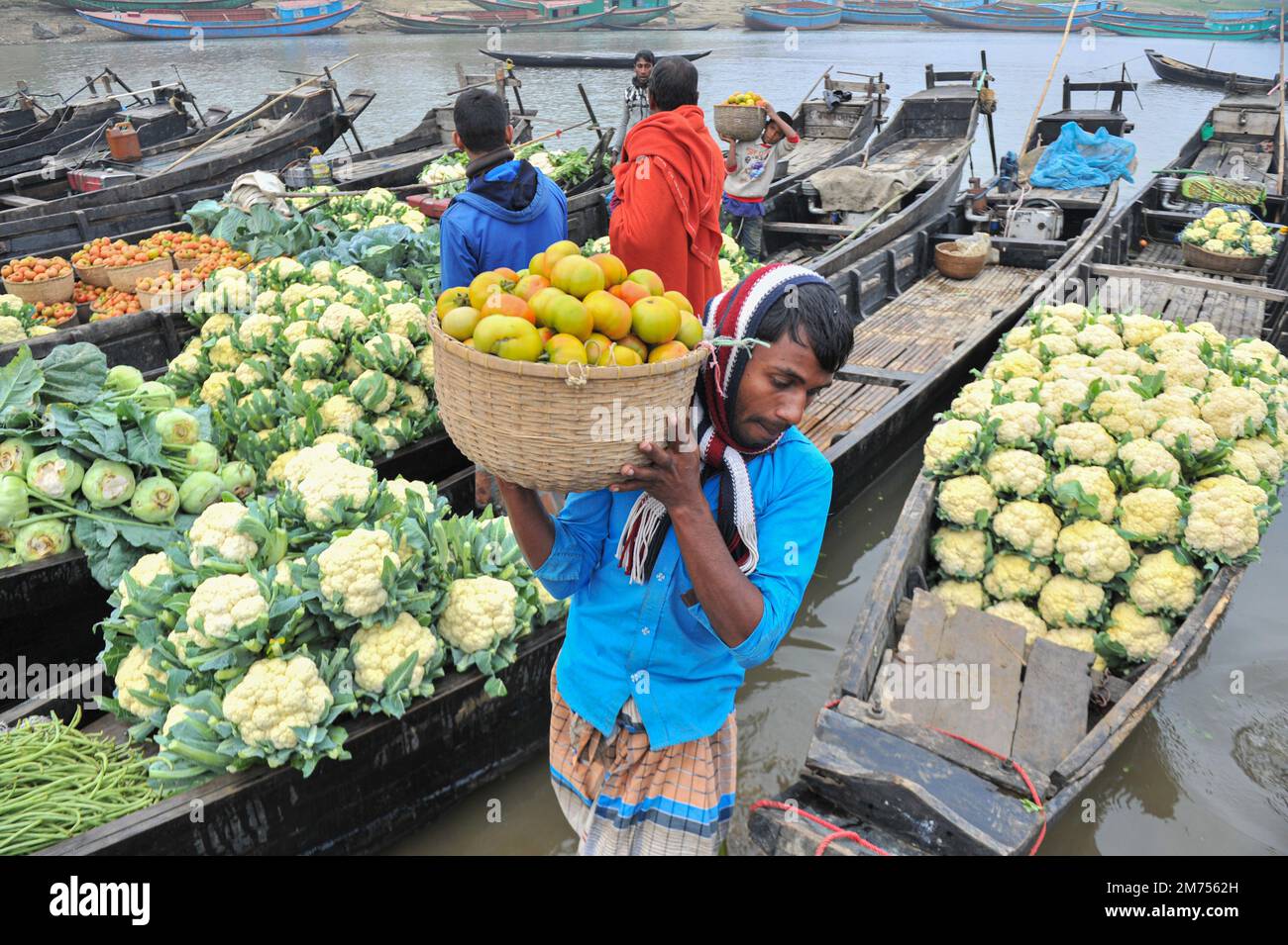 Non Exclusive: 7 January 2023 in Sylhet-Bangladesh: During the winter season, on foggy mornings ...