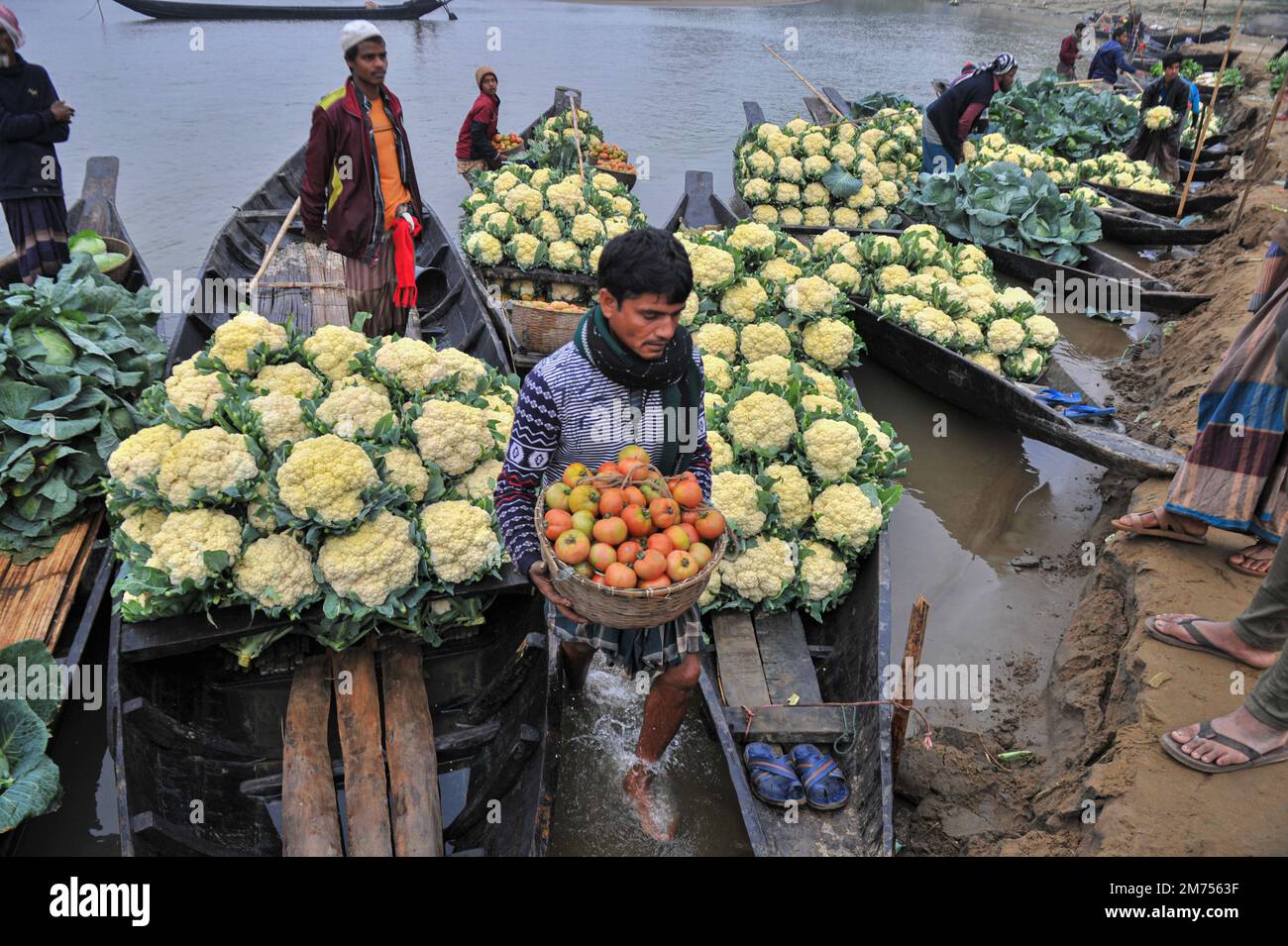 Non Exclusive: 7 January 2023 in Sylhet-Bangladesh: During the winter ...