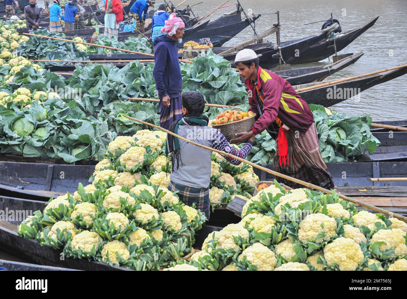 Non Exclusive: 7 January 2023 in Sylhet-Bangladesh: During the winter ...