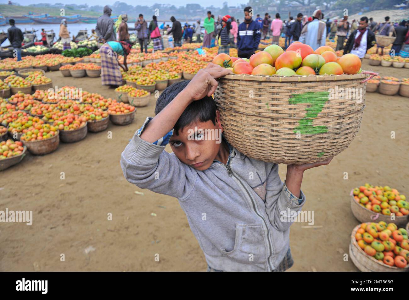 Non Exclusive: 7 January 2023 in Sylhet-Bangladesh: During the winter ...