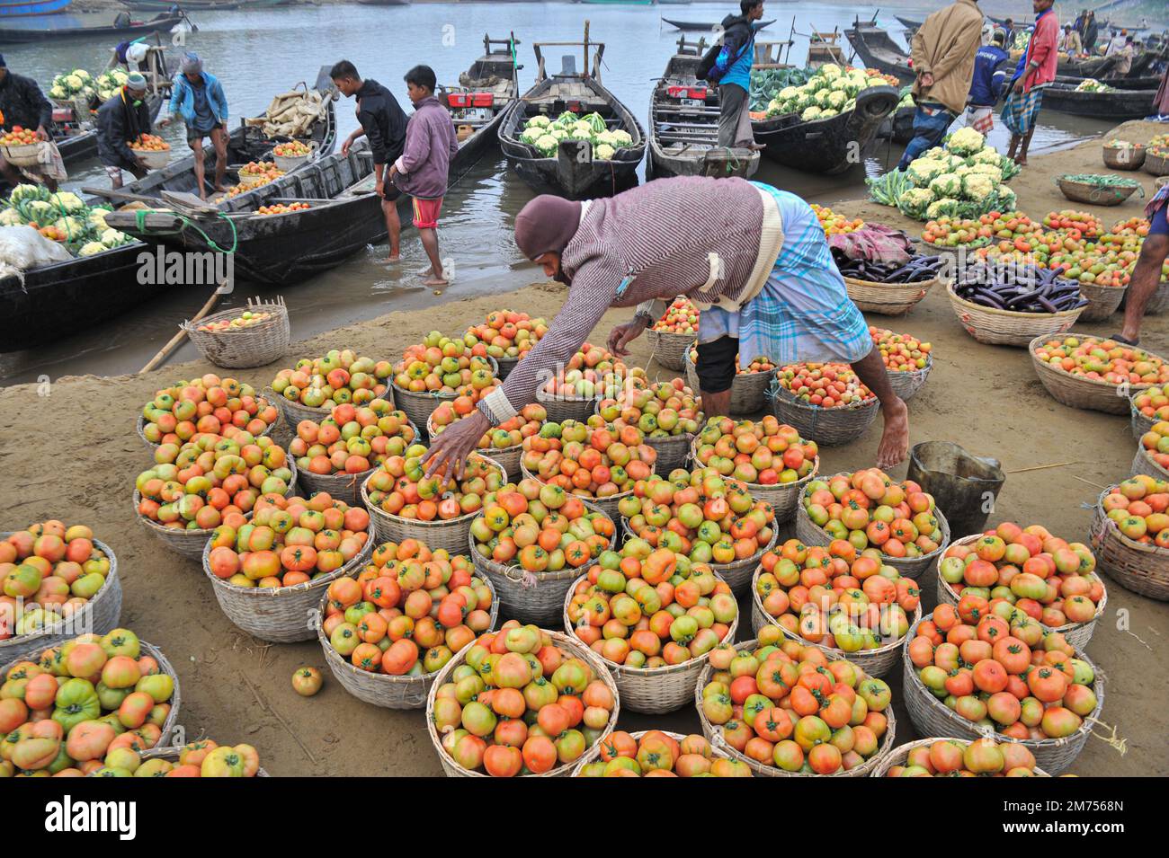 Non Exclusive: 7 January 2023 in Sylhet-Bangladesh: During the winter season, on foggy mornings ...