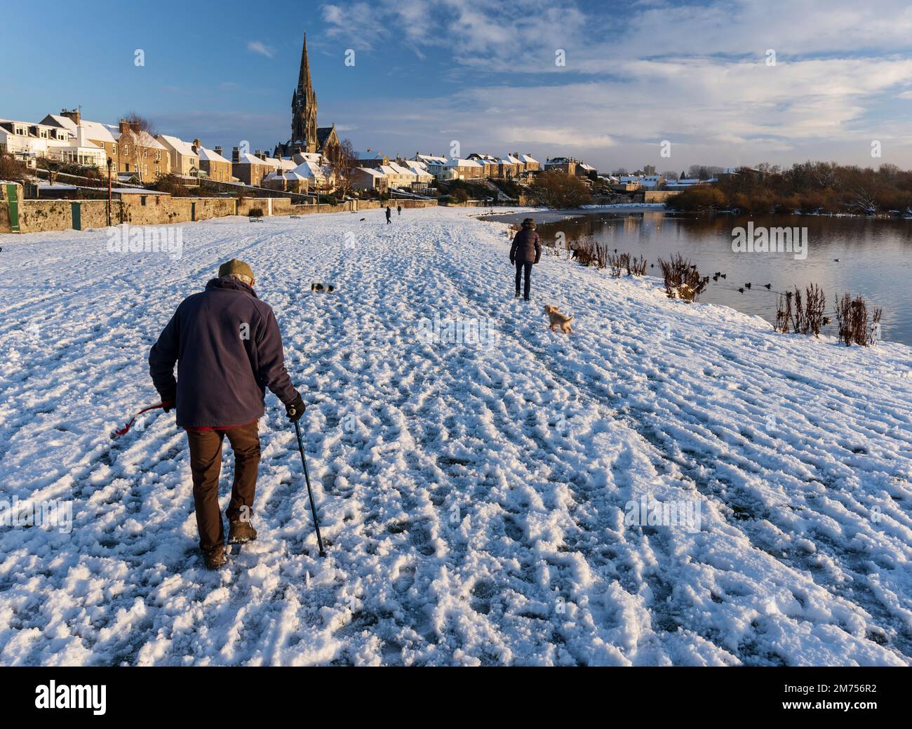 Older couple walking dog in snow, Cobby river front, Tweed, Kelso in ...