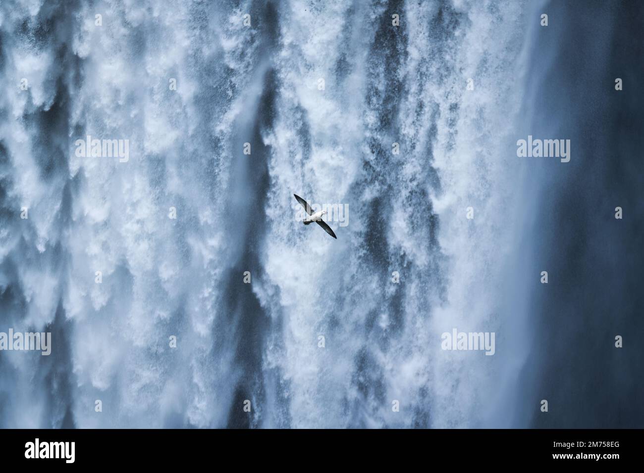 Powerful water stream falling close hi-res stock photography and images ...