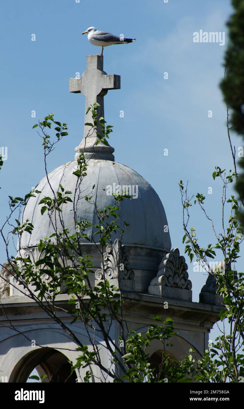 Aya yorgi buyukada hi-res stock photography and images - Alamy