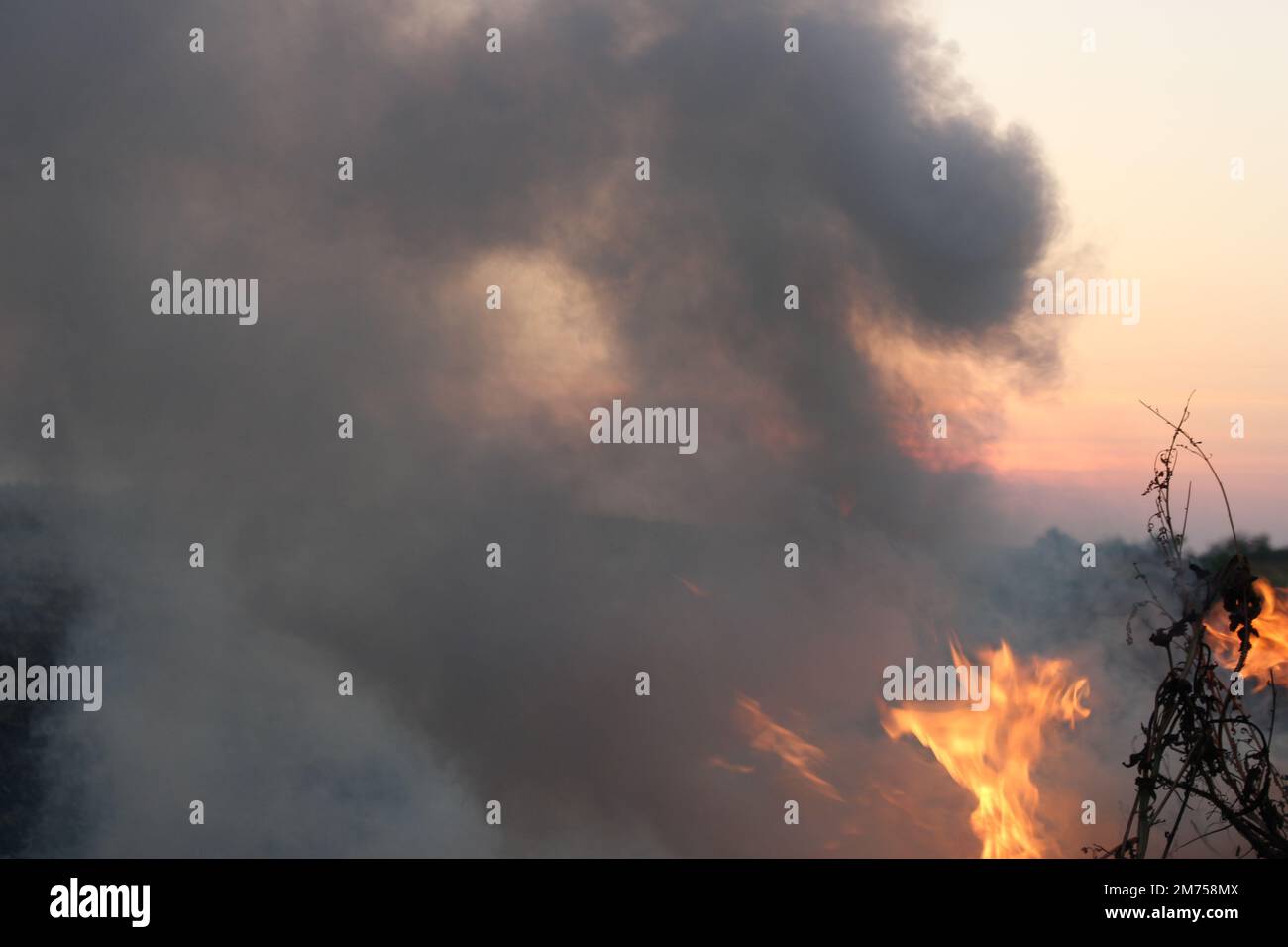 Fire smoke dry grass burning hi-res stock photography and images - Alamy
