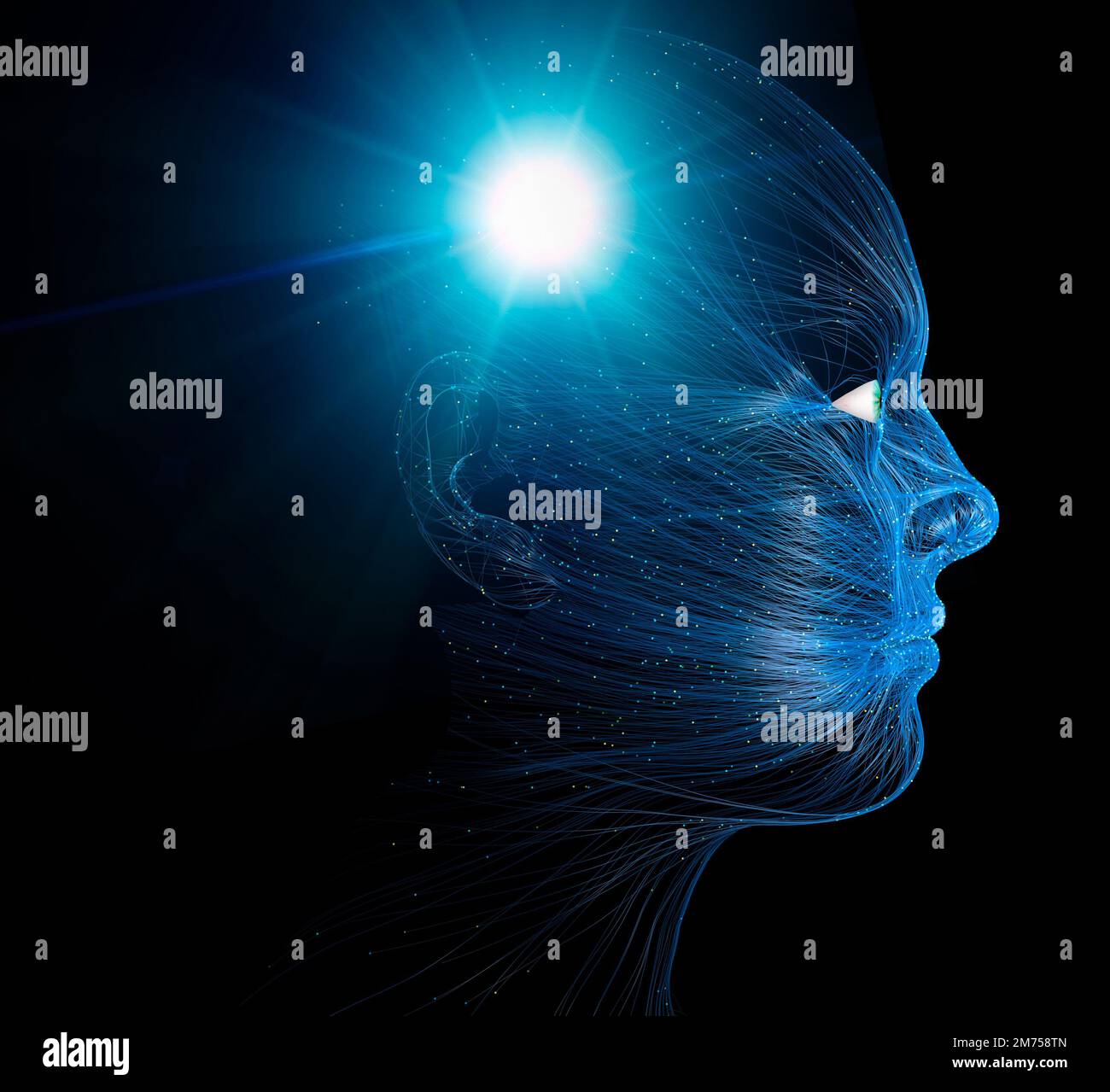 Neurology, philosophy, the development of thought and reflection, how ...