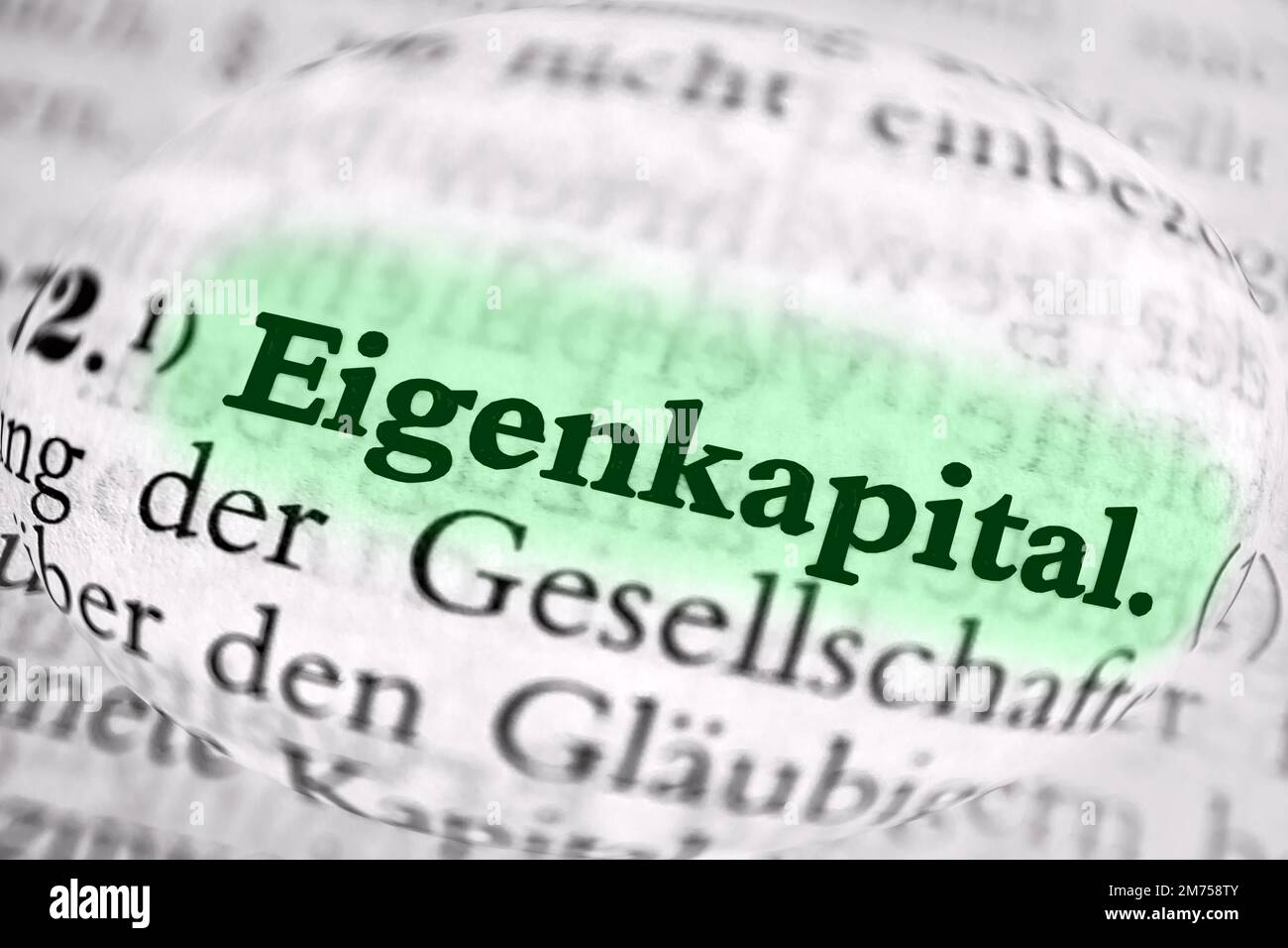 A closeup of the german word Eigenkapital written in bold font and ...