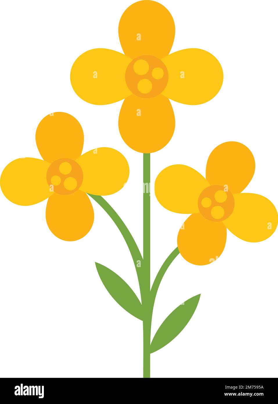 Field canola icon flat vector. Oil plant. Flower rape isolated Stock ...