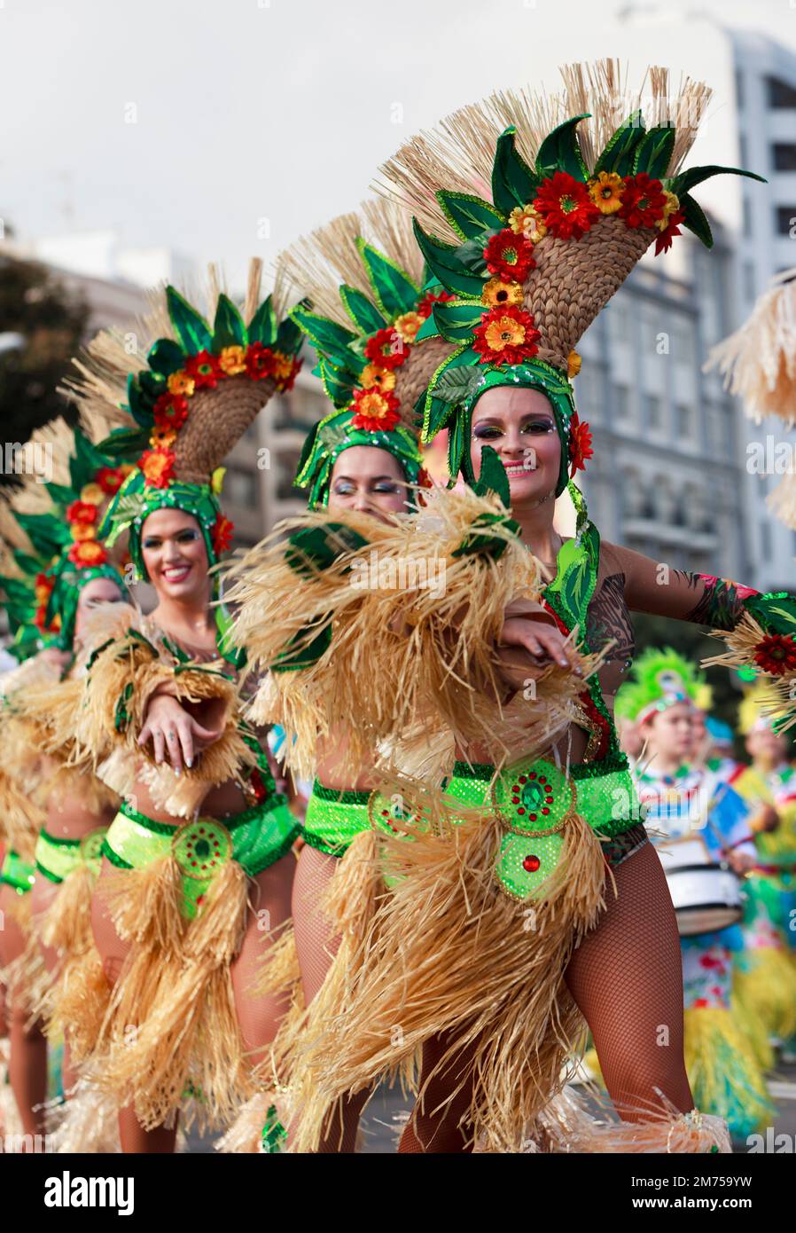 SANTA CRUZ DE TENERIFE, CANARY ISLANDS - circa FEBRUARY 2018: Carnival ...