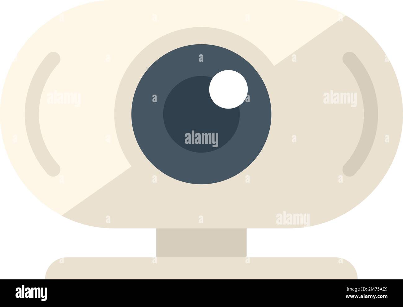 Server camera control icon flat vector. Data center. Work remote ...