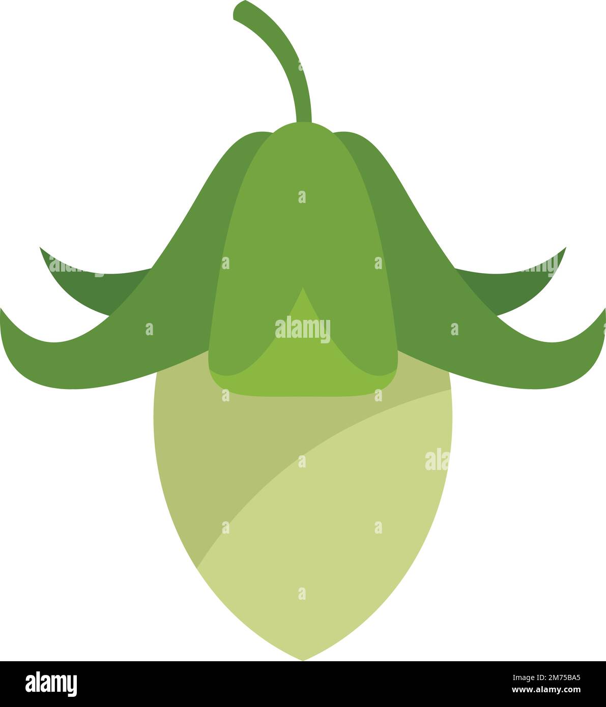 Jojoba seed icon flat vector. Aroma plant. Medicine glass isolated ...