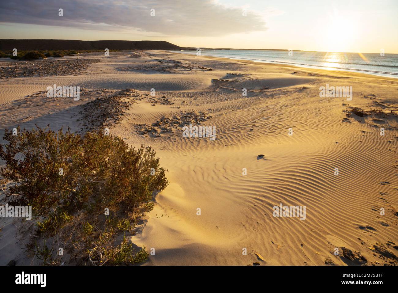 Sandy beach and dunes on the ocean coast. Baja California, Mexico Stock ...