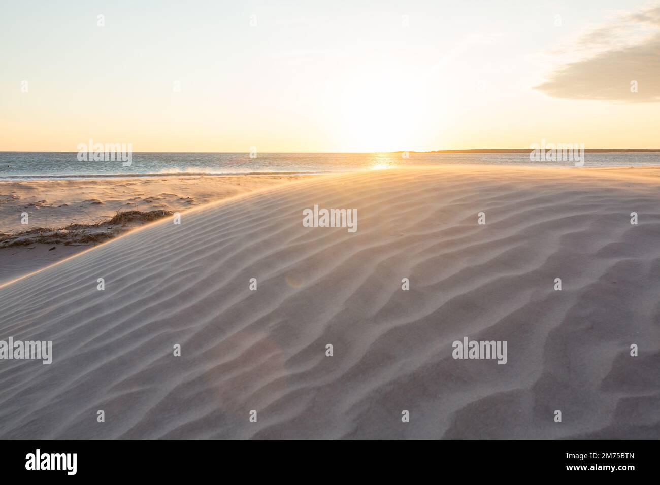 Sandy beach and dunes on the ocean coast. Baja California, Mexico Stock ...