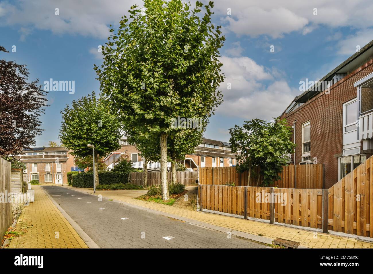 a street with houses in the background and trees on both sides, some ...