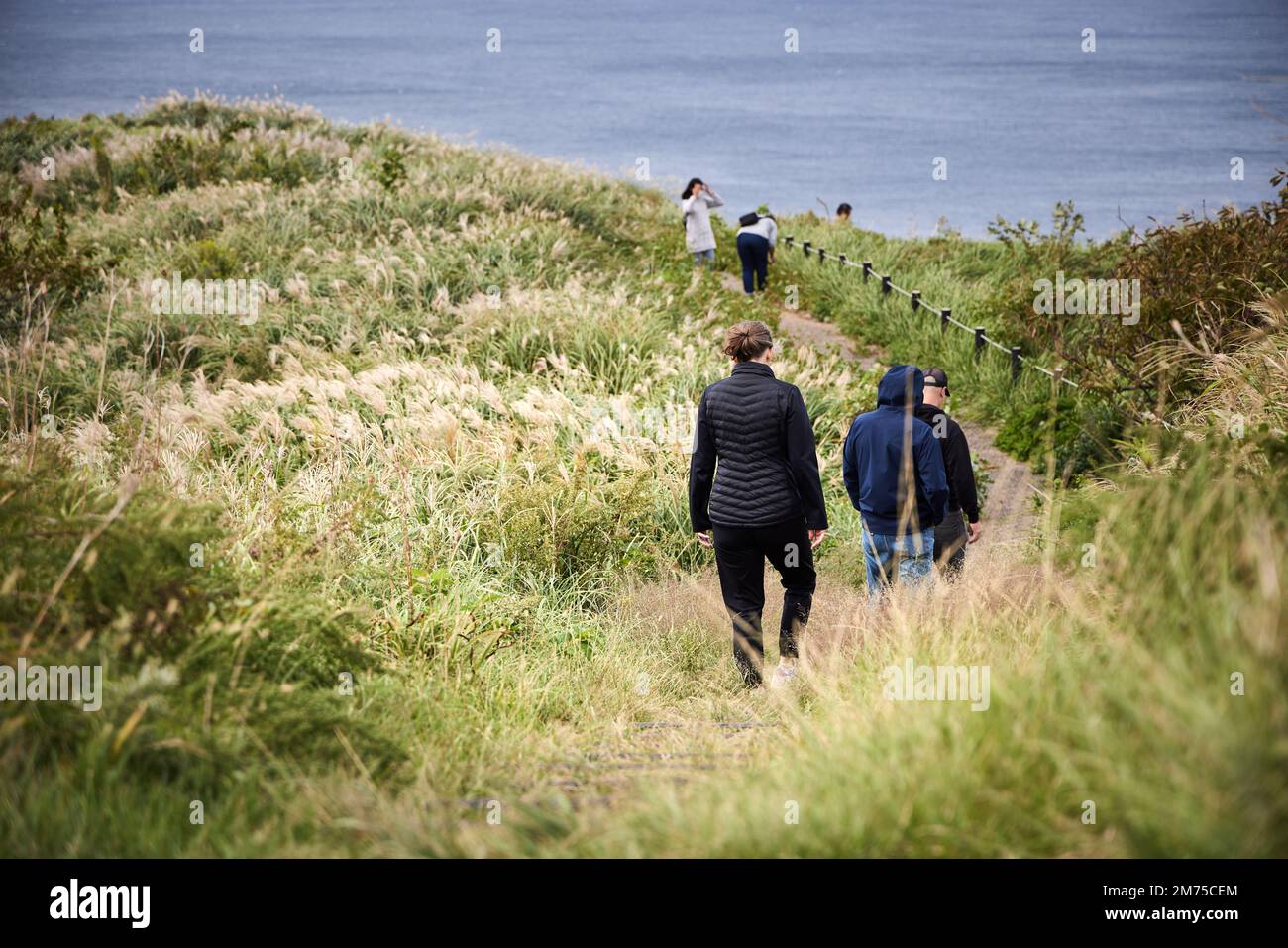 People walking through tall grass towards the sea Stock Photo - Alamy