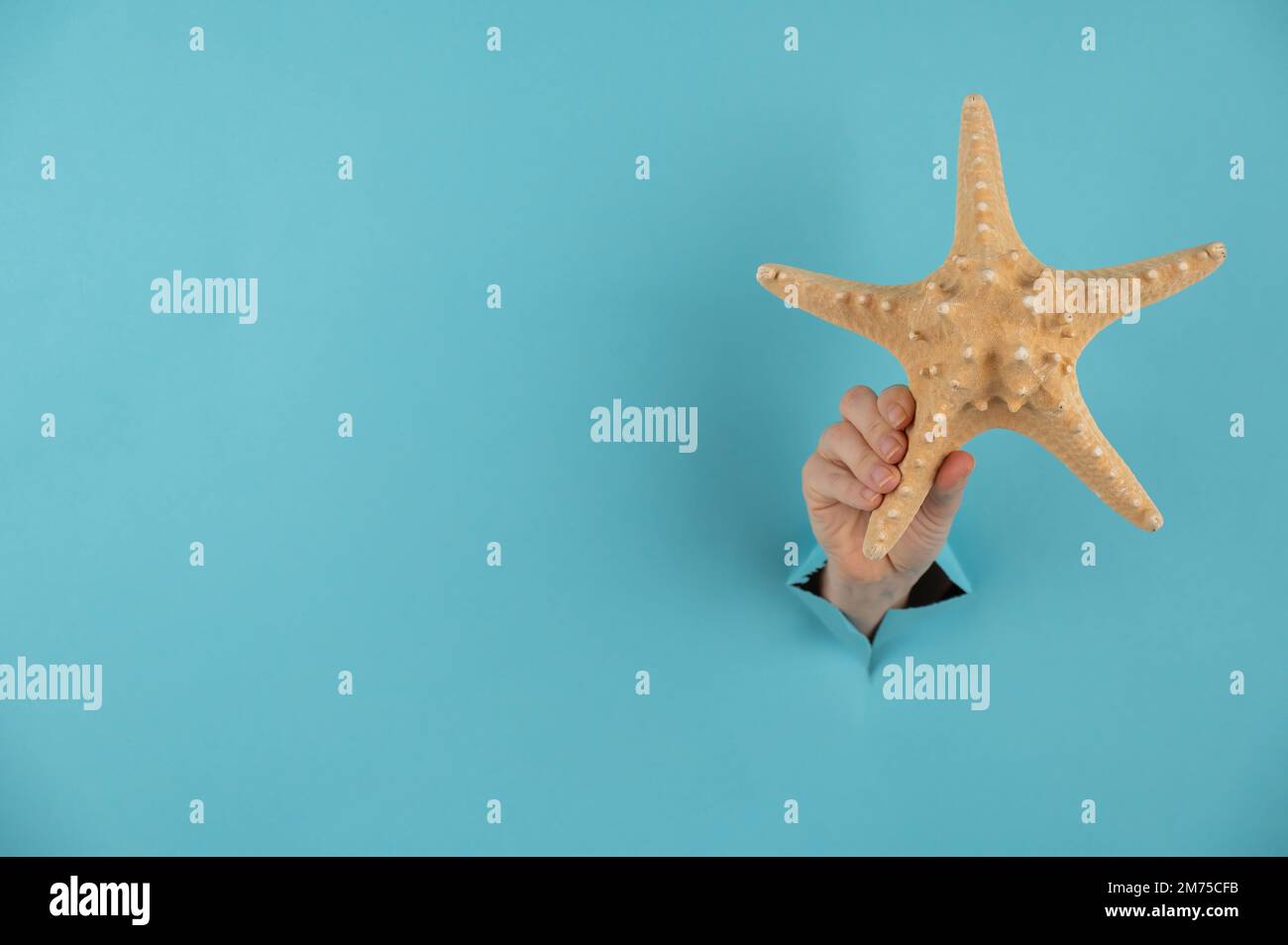 A hand with a starfish sticking out of a hole in a blue cardboard ...