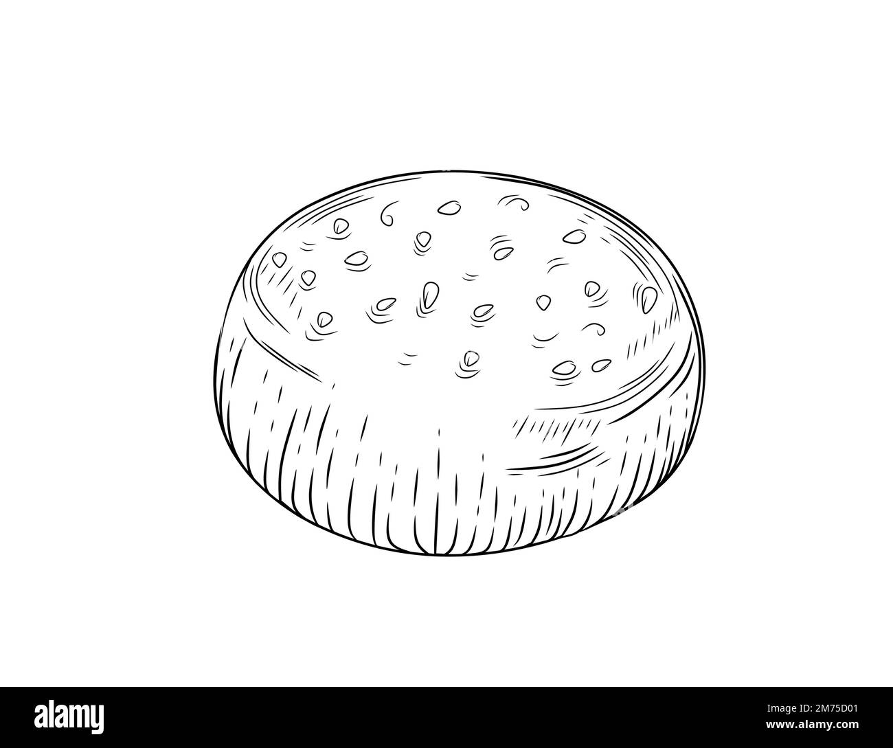 Fresh tasty white burger bun with sesame hand drawn style vector ...