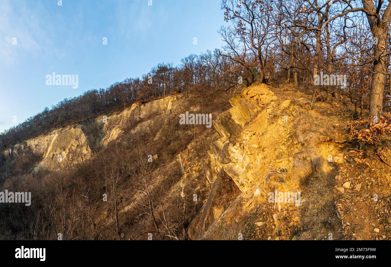 Wien, Vienna: quarry Sieveringer Steinbruch of rock Flysch (sequence of ...