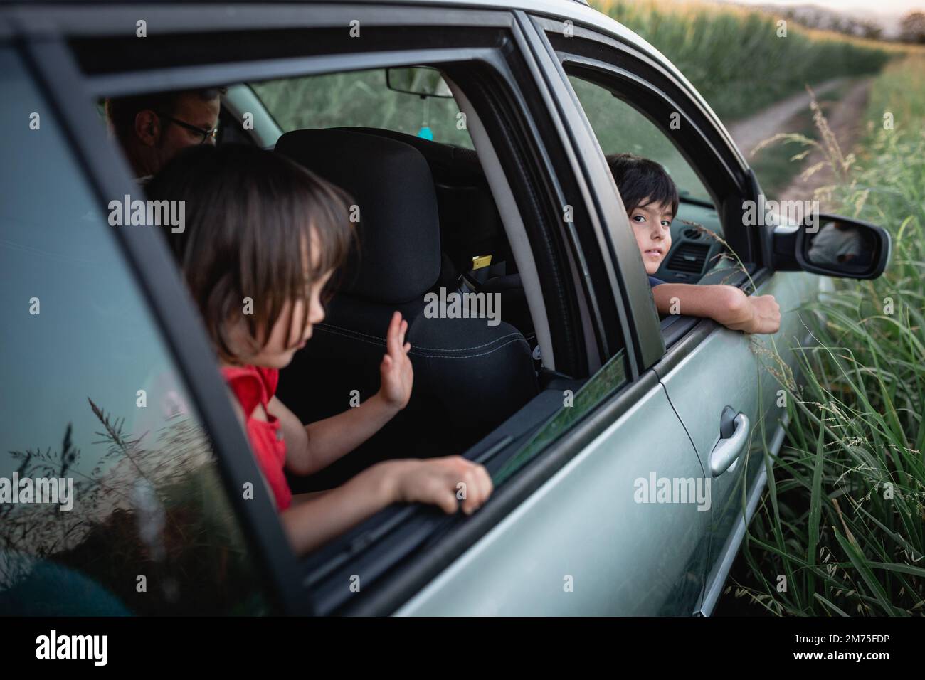 father and two daughters watching from family car windows in a corn ...
