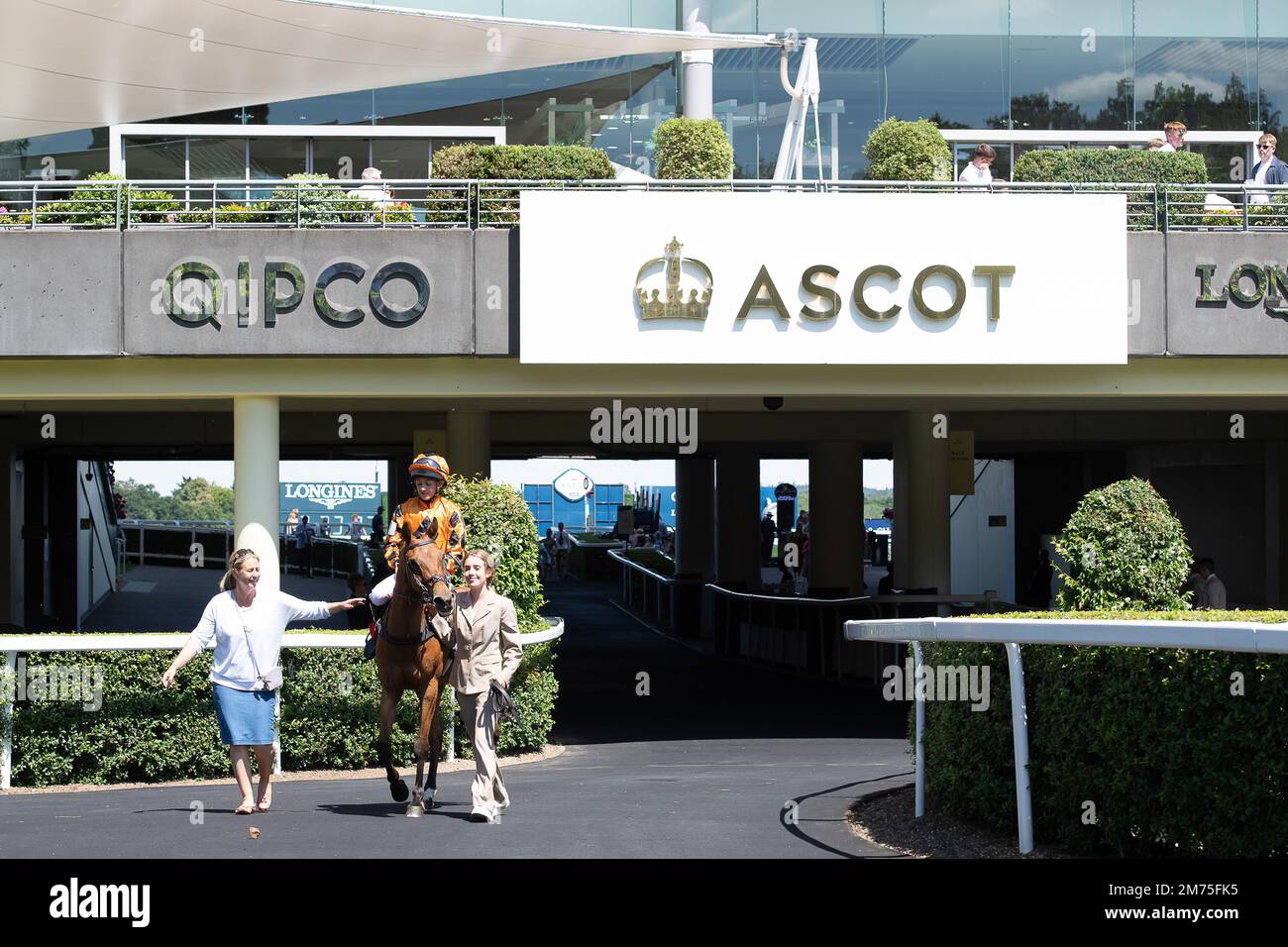 Jack dace hi-res stock photography and images - Alamy