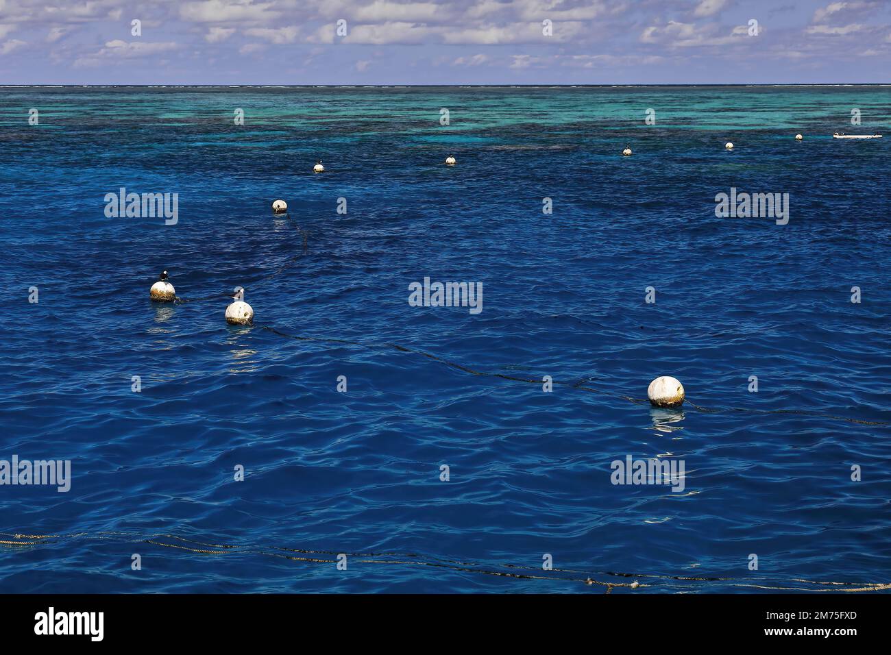 384 Buoy line next to Green Island delimiting the swimming-snorkeling ...