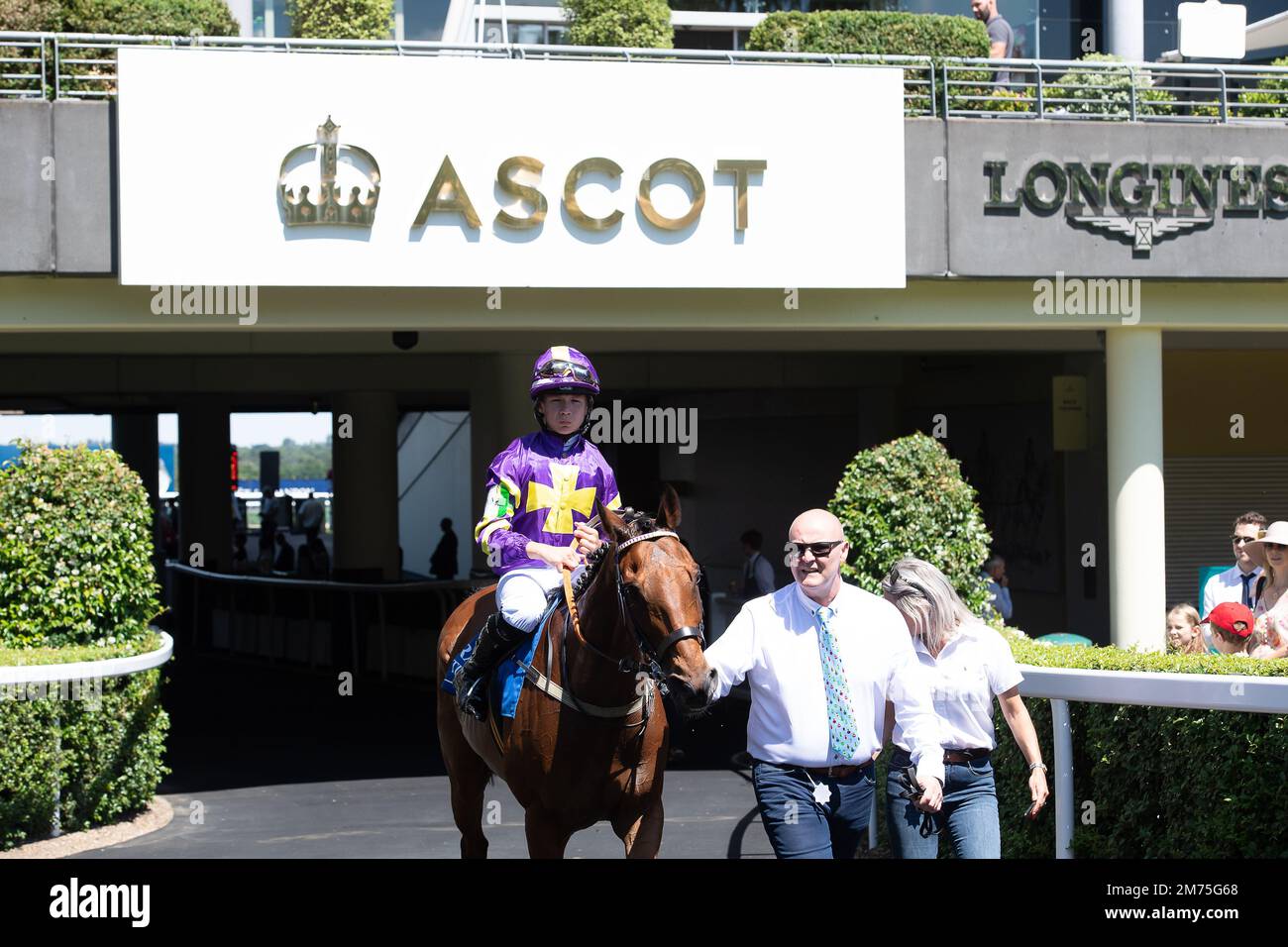 Mason paetel jockey hi-res stock photography and images - Alamy