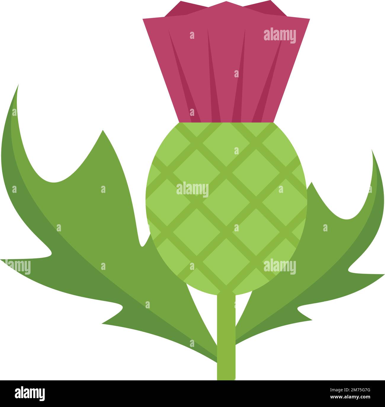 Marianum thistle icon flat vector. Flower milk. Plant burdock isolated ...