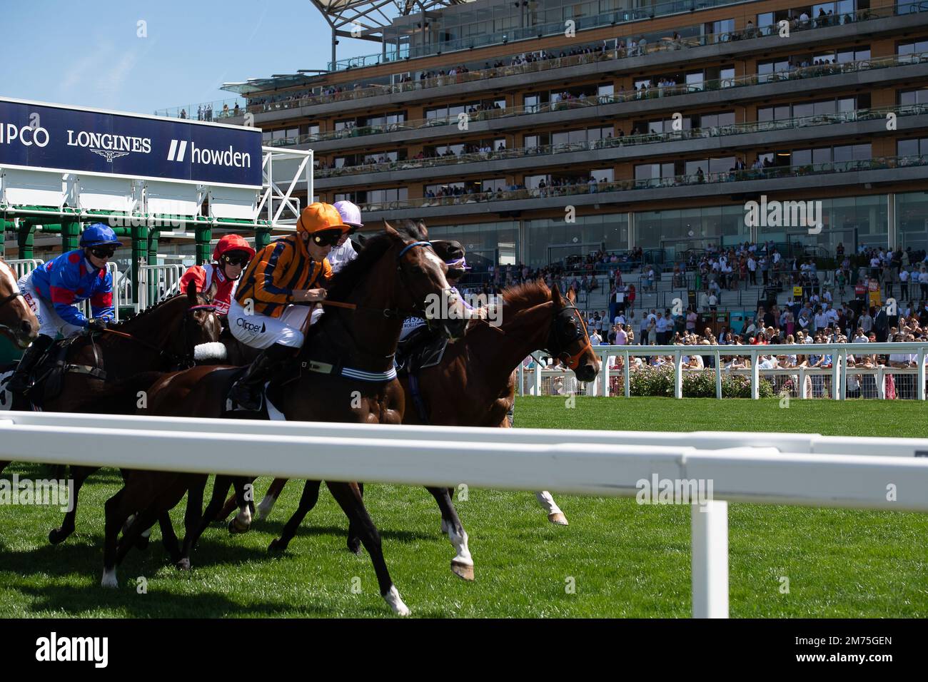 S fustok hi-res stock photography and images - Alamy