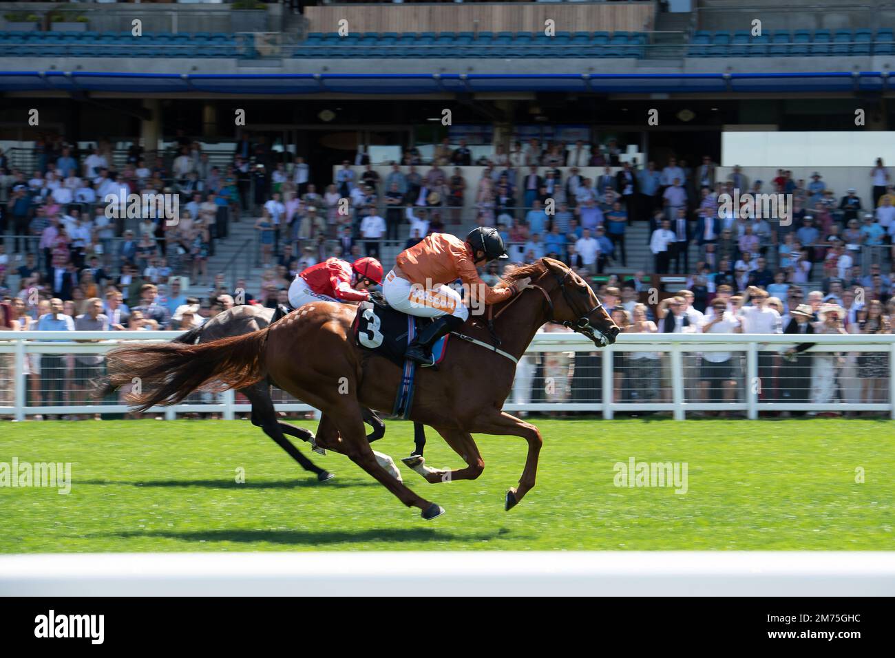 Ascot, Berkshire, UK. 9th July, 2022. Horse Bague D'Or (Number 3 ...