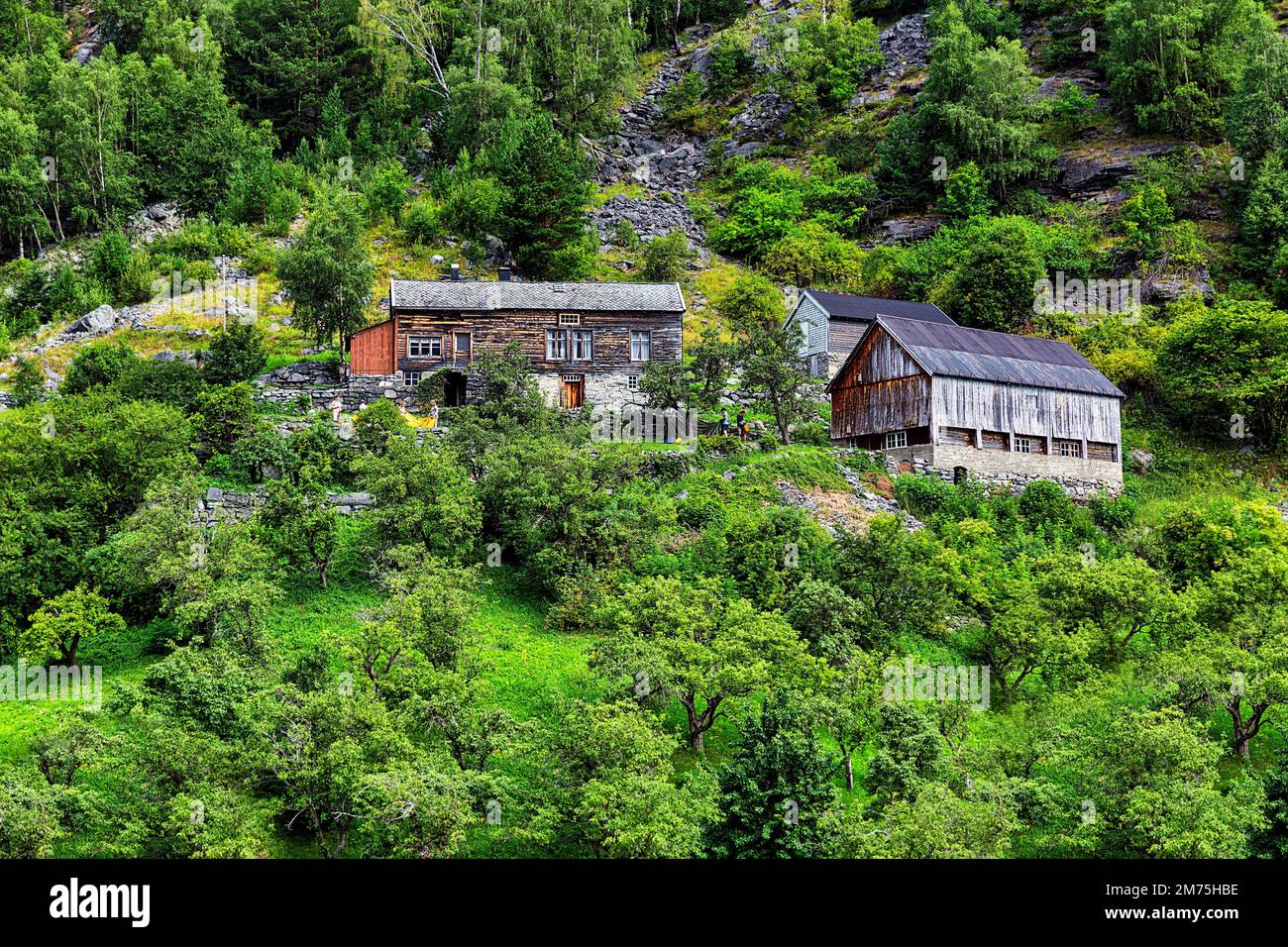 Matvik Farm, former farm on steep mountainside, Geirangerfjord, near ...