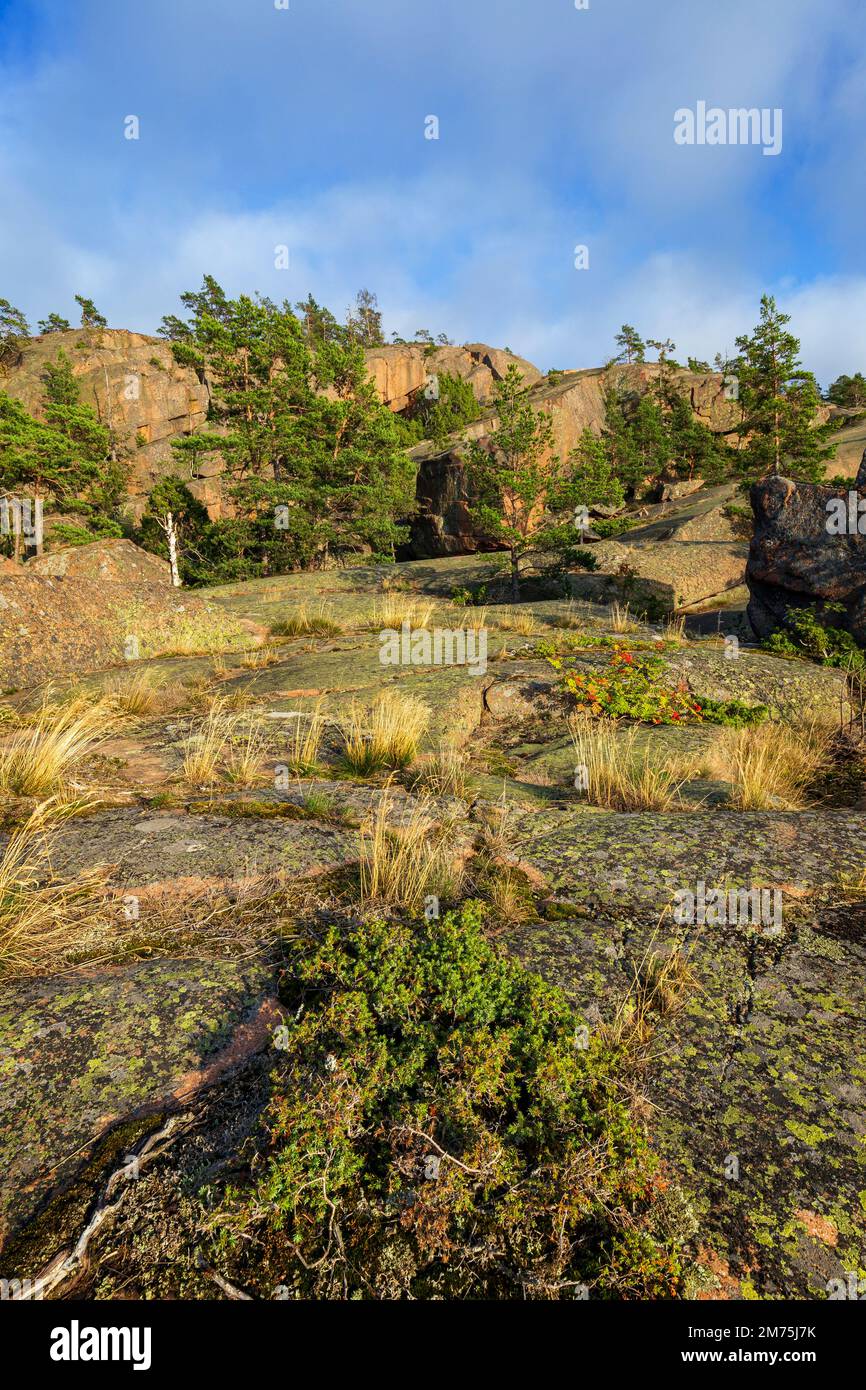 Aland nature landscape plant hi-res stock photography and images - Alamy
