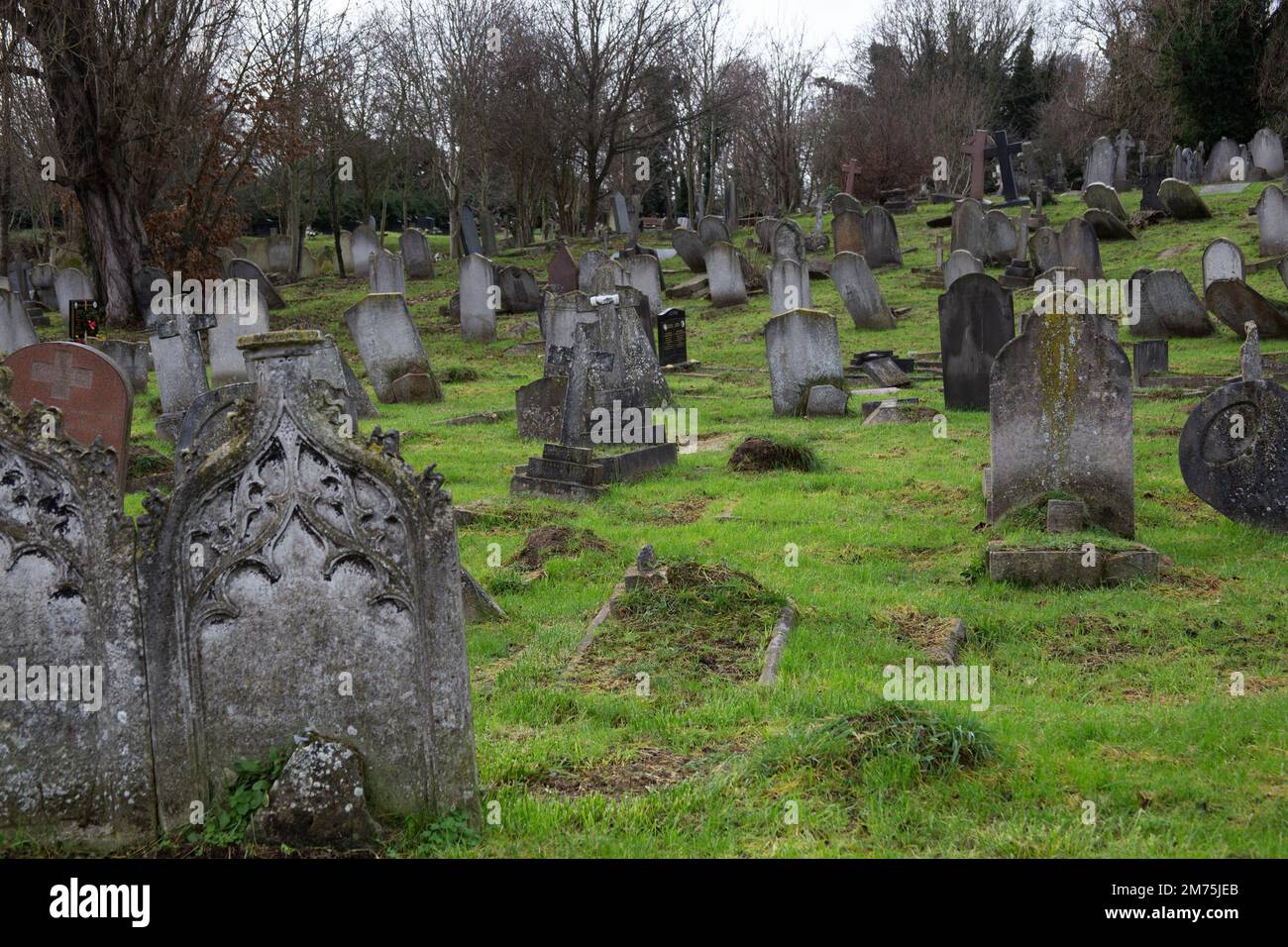 Graves and headstones in Kensal Green Cemetery in winter, west London ...