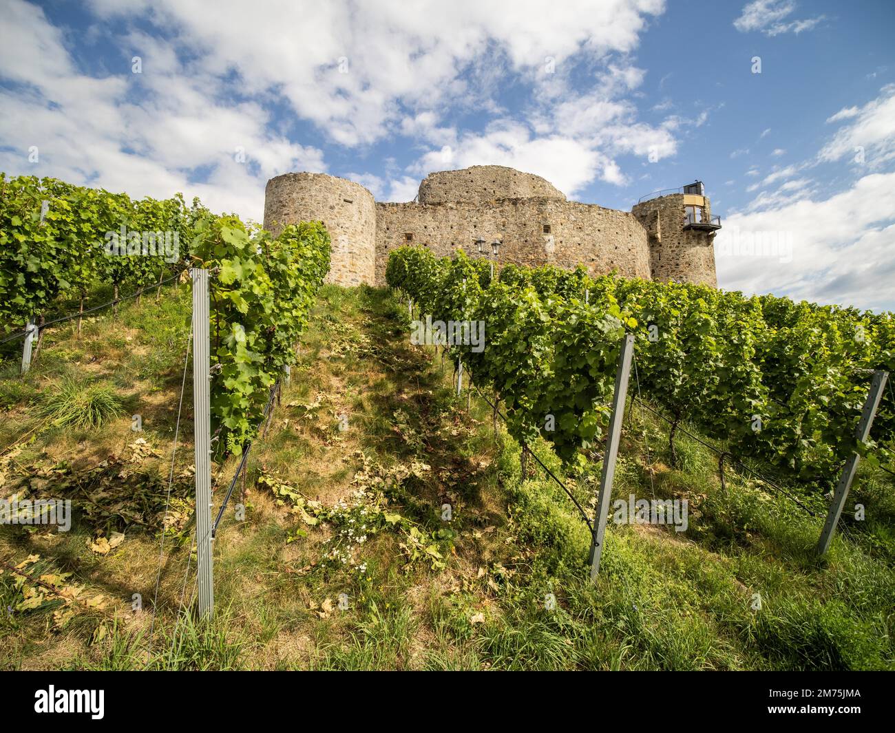 Taggenbrunn Winery and Taggenbrunn Castle, near St. Veit, Carinthia ...