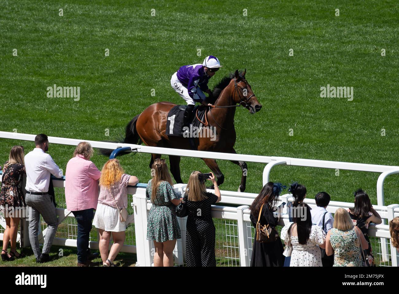 The british stallion studs ebf restricted novice stakes hi-res stock ...