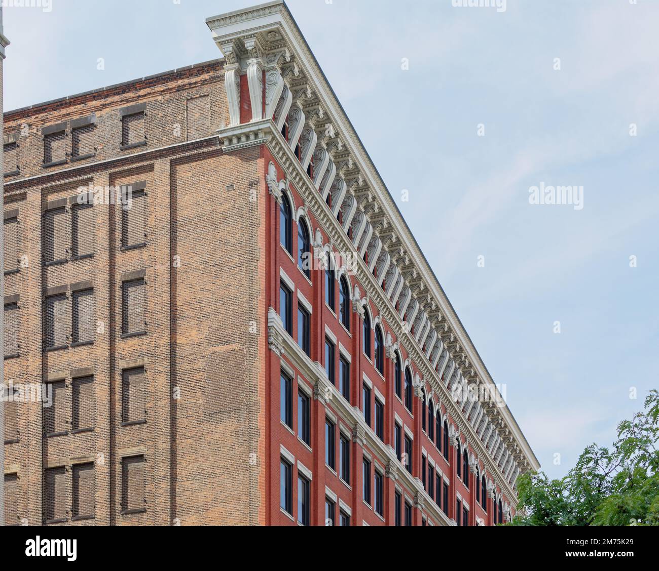 44 massive terra cotta brackets frame the top story windows and support ...