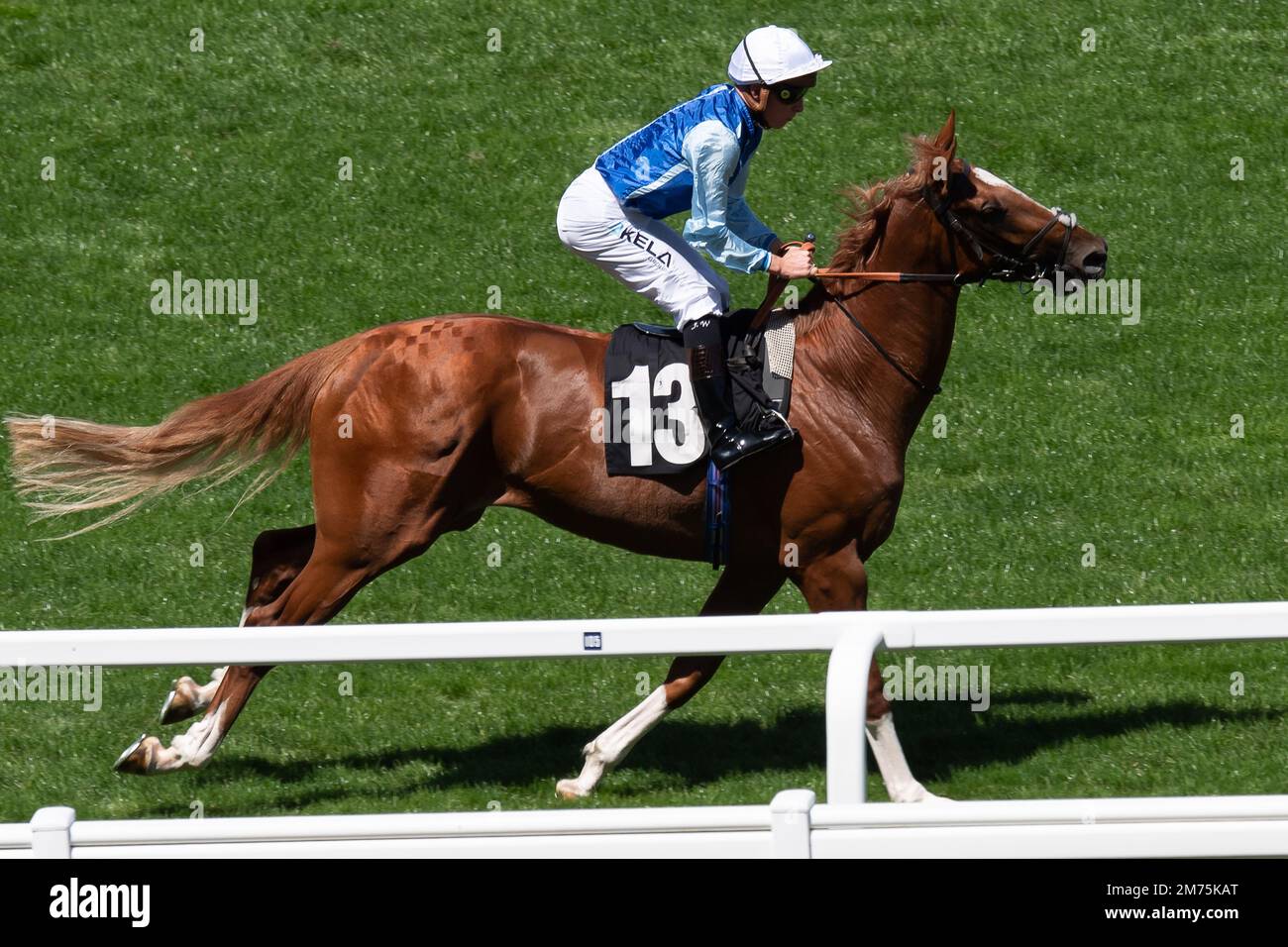 The british stallion studs ebf restricted novice stakes at ascot hi-res ...