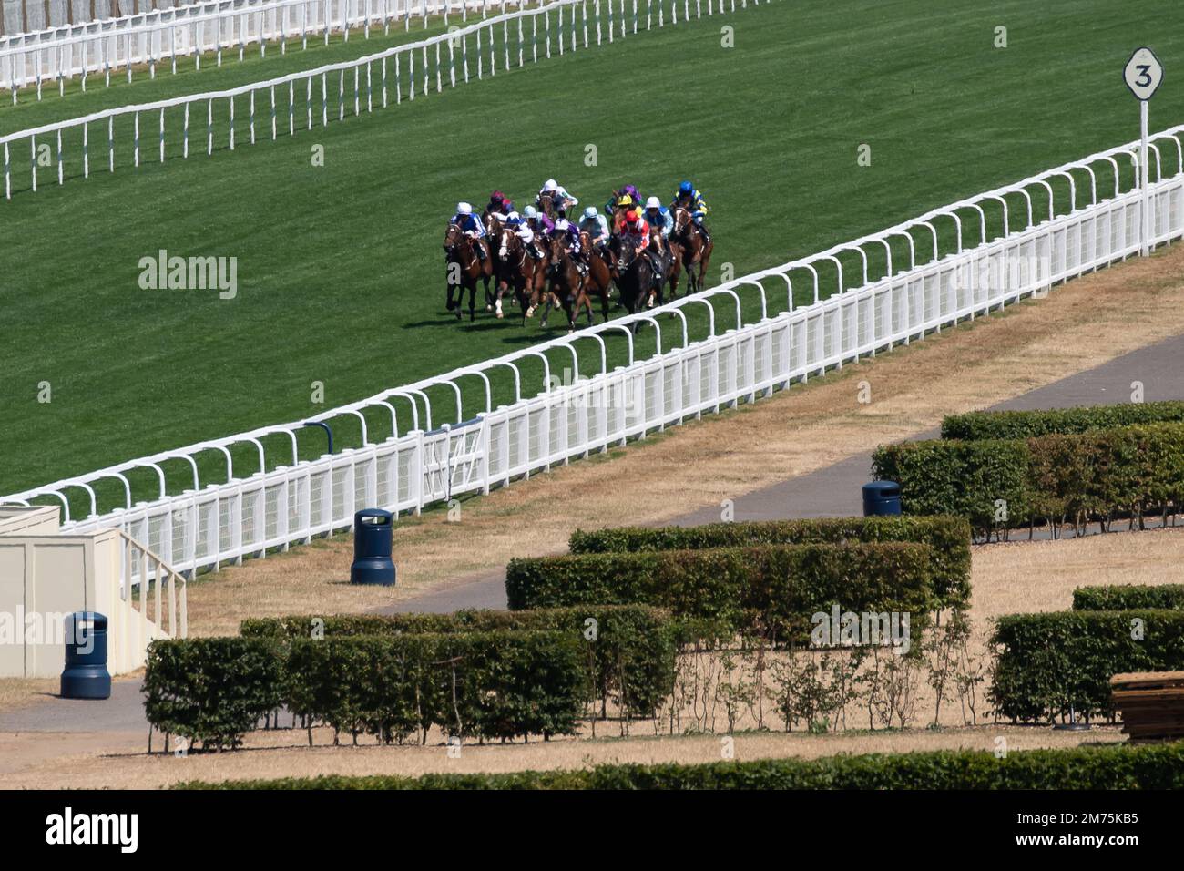 The british stallion studs ebf restricted novice stakes at ascot hi-res ...