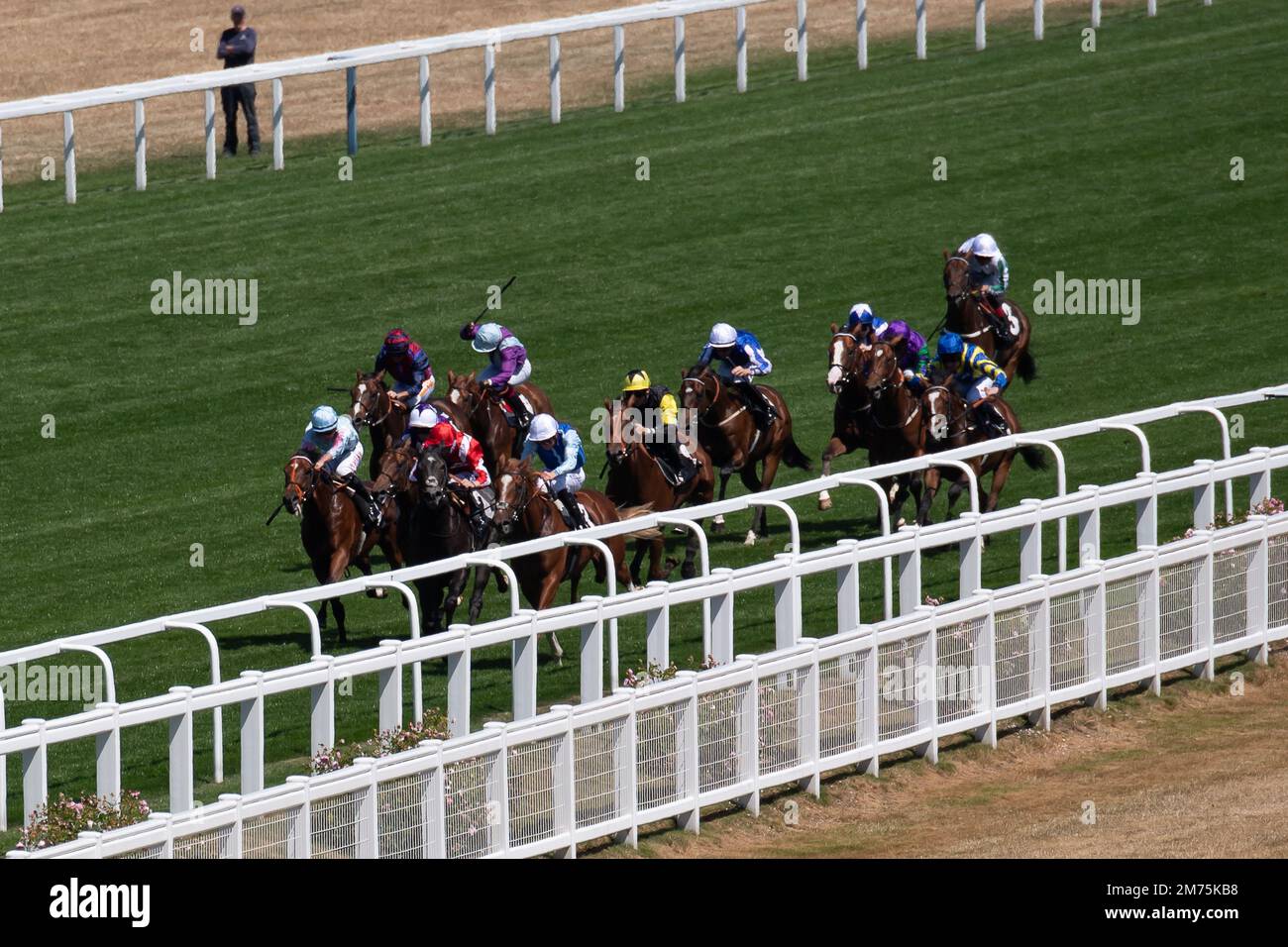 The british stallion studs ebf restricted novice stakes at ascot hi-res stock photography and ...