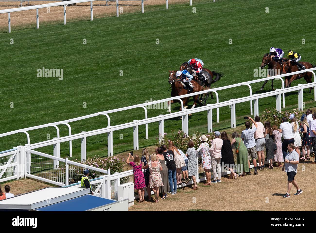 The british stallion studs ebf restricted novice stakes at ascot hi-res ...