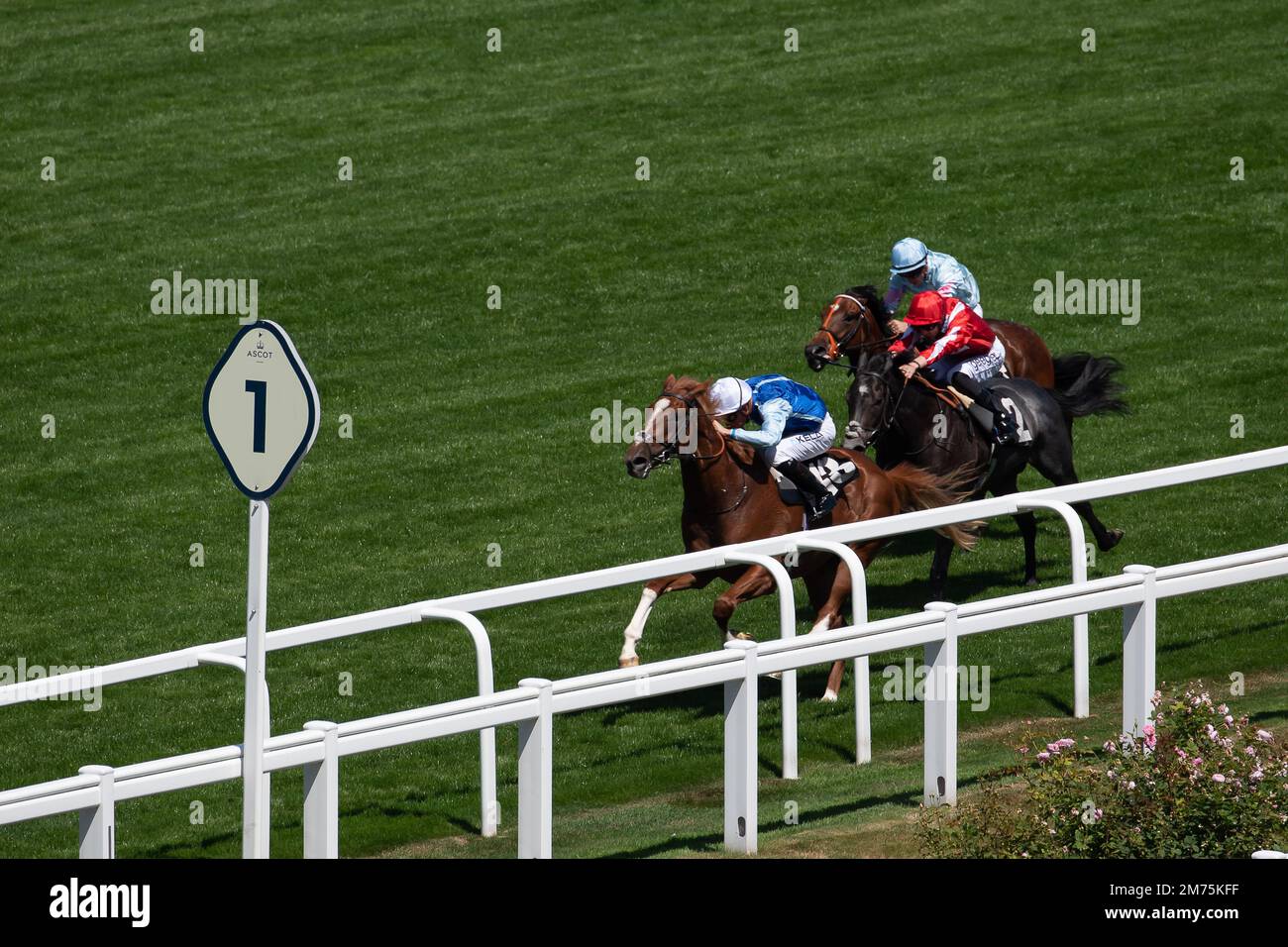 The british stallion studs ebf restricted novice stakes at ascot hi-res ...