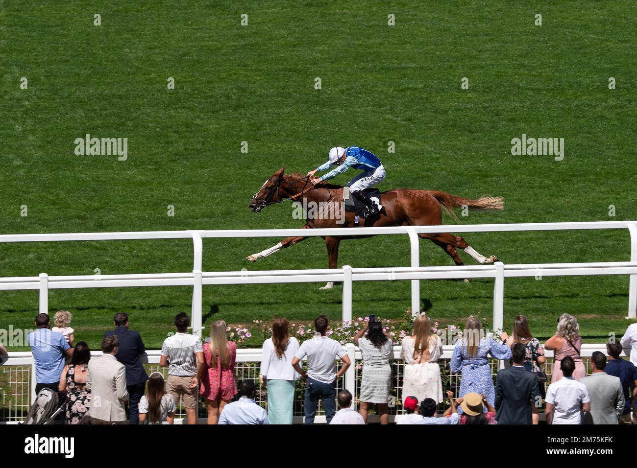 The british stallion studs ebf restricted novice stakes at ascot hi-res ...