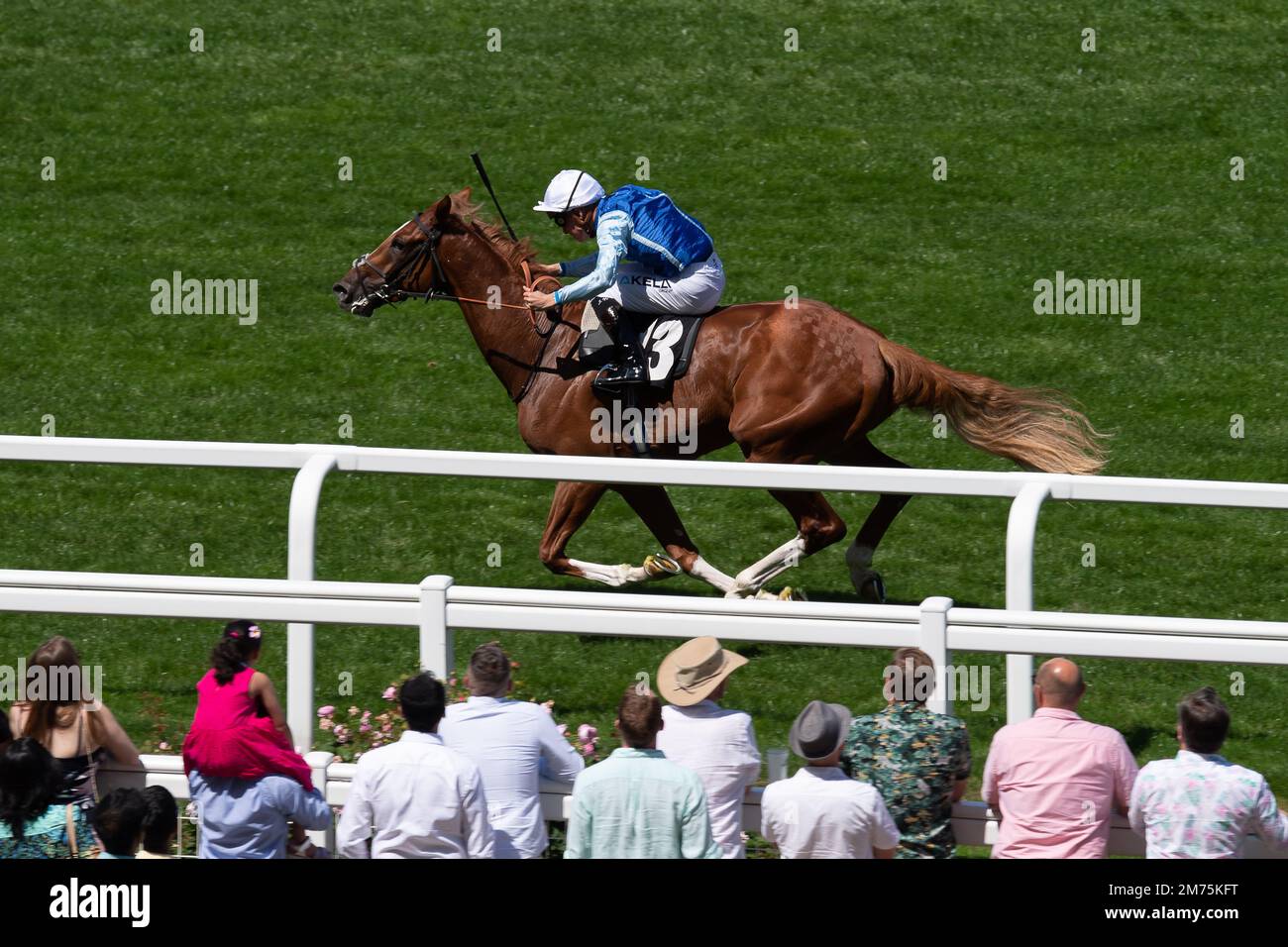 The british stallion studs ebf restricted novice stakes at ascot hi-res ...